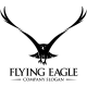 Flying Logo Template, Logo Templates | GraphicRiver