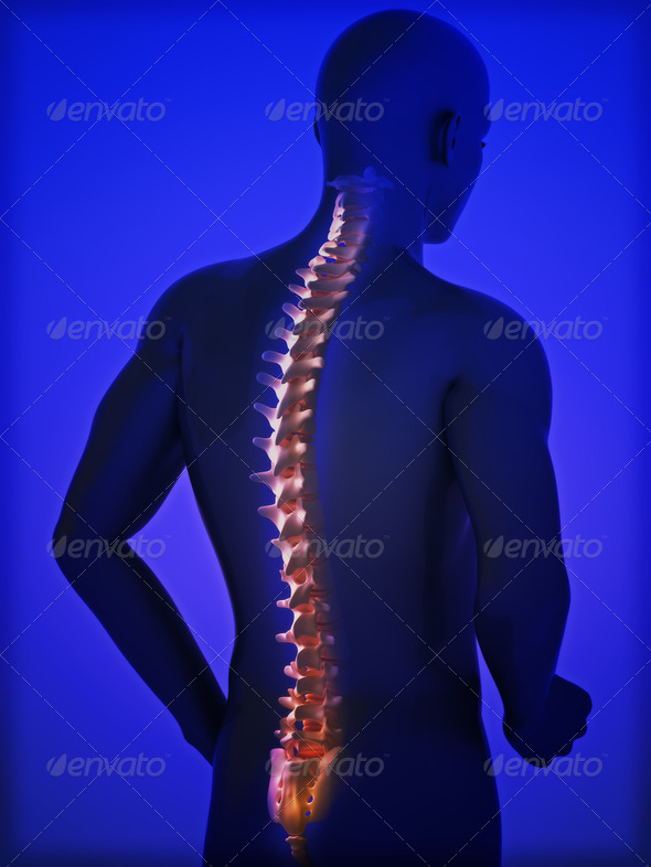 Human spine Stock Photo by digitalstormcinema | PhotoDune