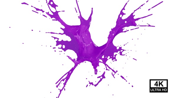 Purple Paint Drops Splash, Motion Graphics | VideoHive