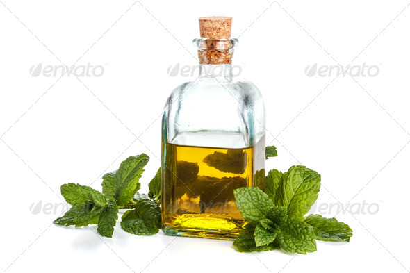 Oil with fresh mint Stock Photo by grafvision | PhotoDune