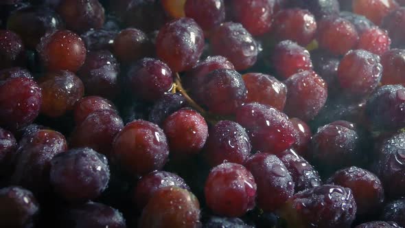 Juicy Grapes Getting Sprayed With Fine Mist, Stock Footage | VideoHive