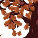 Autumn Oak Tree, Vectors | GraphicRiver