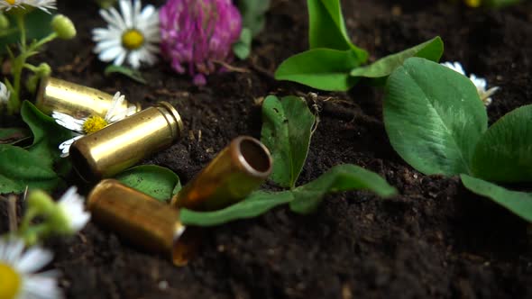 Bullet casings from a 5mm pistol fall to the ground and chamomile ...