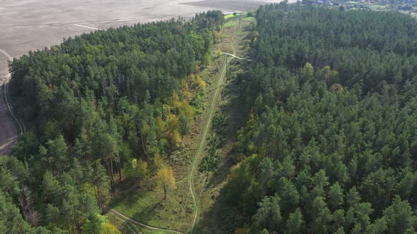 High Voltage Wires In The Forest, Stock Footage | VideoHive