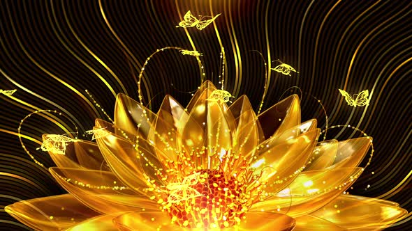 Gold Flower And Butterflies, Motion Graphics | VideoHive