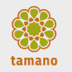 Tamano Logo, Logo Templates | GraphicRiver