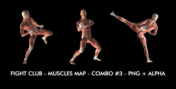 Fight Club - Muscles Map - Combo #3, Motion Graphics | VideoHive
