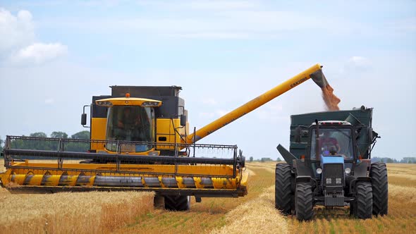 Tractor with trailer working in tandem alongside working combine ...