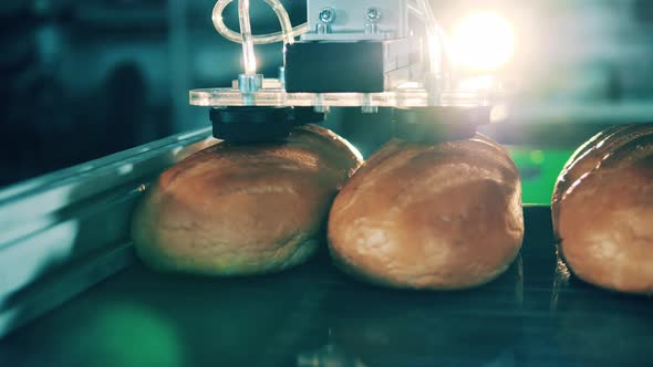 Robotic Device is Relocating Loaves of Bread, Stock Footage | VideoHive