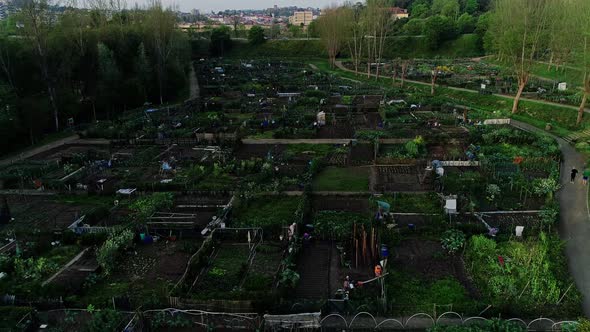 Natural Horticulture, Stock Footage | VideoHive