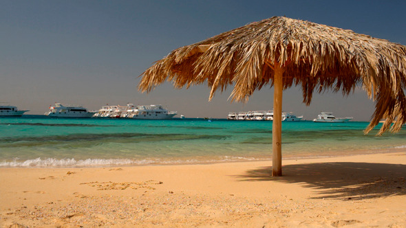 Beautiful Tropical Scene, Stock Footage | VideoHive