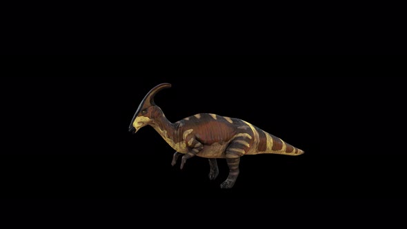 4K Parasaur Running, Motion Graphics | VideoHive