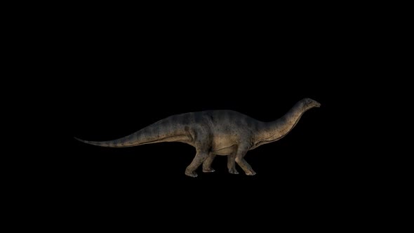 Dinosaur Brontosaurus Walk, Motion Graphics | VideoHive