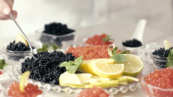 Tasting red salmon caviar and black beluga sturgeon salted roe, Stock ...
