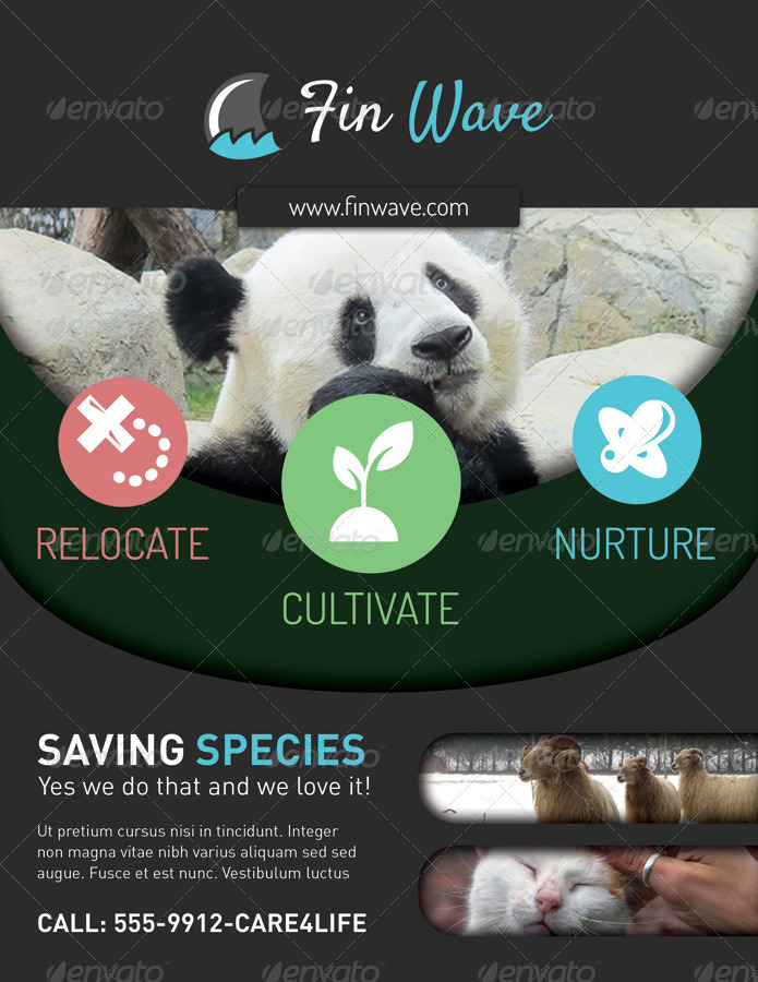 Fin Wave Wildlife Rescue Flyers, Print Templates | GraphicRiver