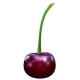 Cherry, Vectors | GraphicRiver