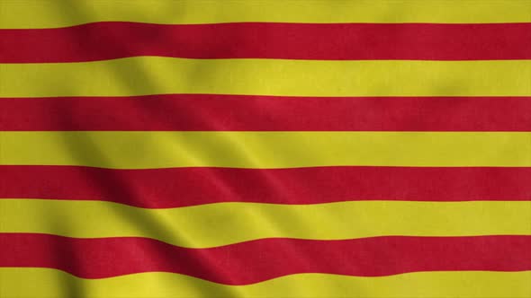 Roussillon Flag France Waving in the Wind Background, Motion Graphics