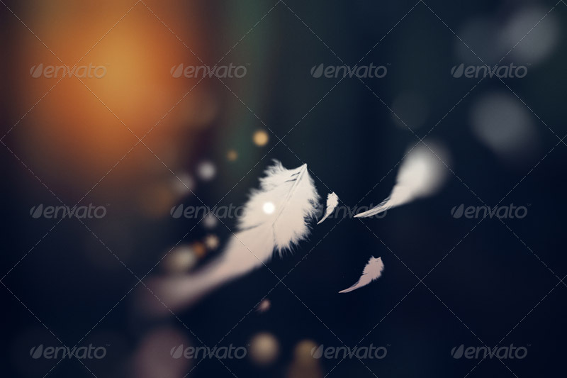 Background With Falling Feathers, Graphics | GraphicRiver