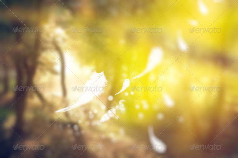 Background With Falling Feathers, Graphics | GraphicRiver