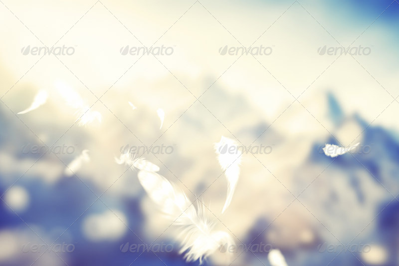 Background With Falling Feathers, Graphics | GraphicRiver