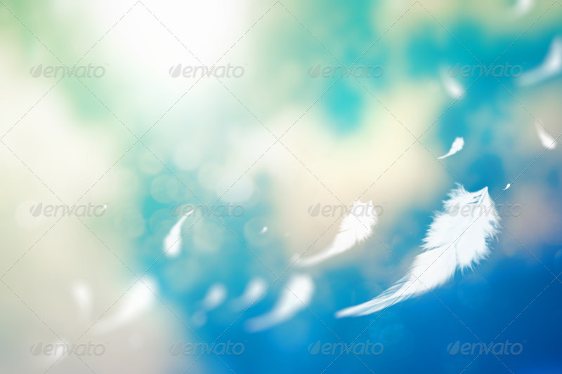 Background With Falling Feathers, Graphics | GraphicRiver