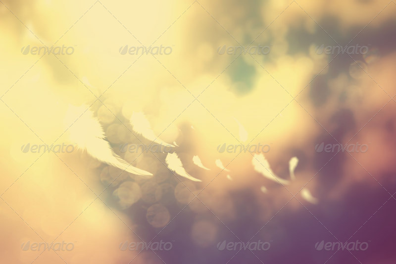 Background With Falling Feathers, Graphics | GraphicRiver
