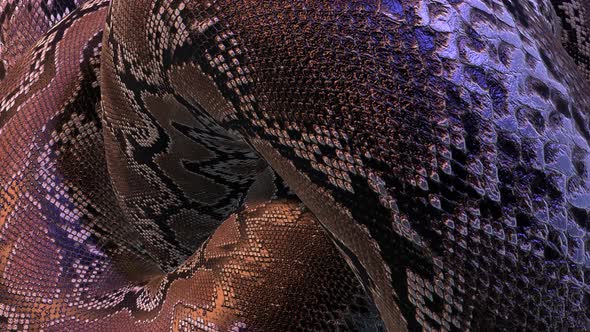 4k Snake Curl Loop Background, Motion Graphics | VideoHive