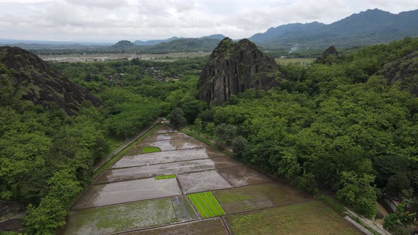 Aerial drone view of rock mountain cliff in the middle of the rice ...