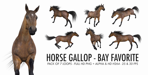 Horse Gallop - Bay Favorite - Pack of 7, Motion Graphics | VideoHive