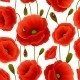 Poppy Seamless Pattern, Vectors | GraphicRiver
