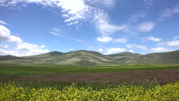 Empty Plain Treeless Flowering Meadows, Stock Footage | VideoHive