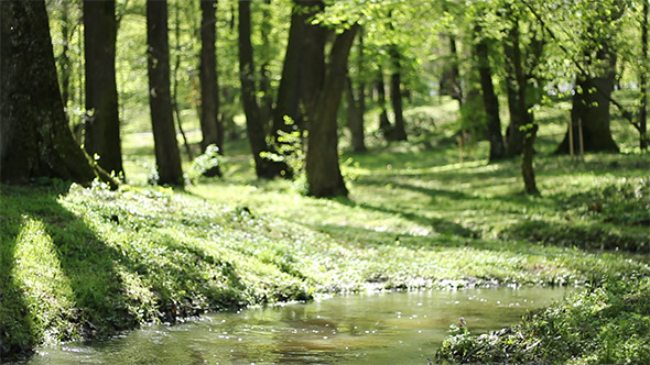 Small Park River Meanders, Stock Footage | VideoHive