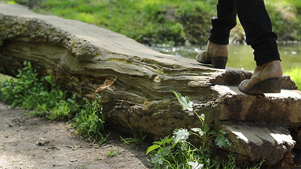 Walking on Tree Bridge, Stock Footage | VideoHive
