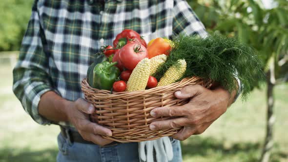 Close up video of basket full of seasonal vegetables. Shot with RED ...