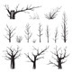 Scratchy Trees Collection in Black Silhouettes, Vectors | GraphicRiver