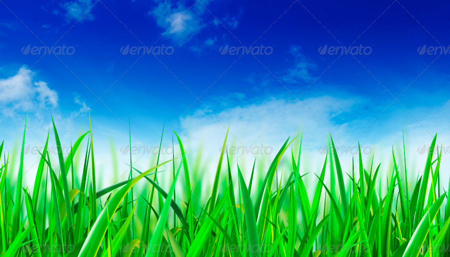 Summer Backgrounds, Graphics | GraphicRiver