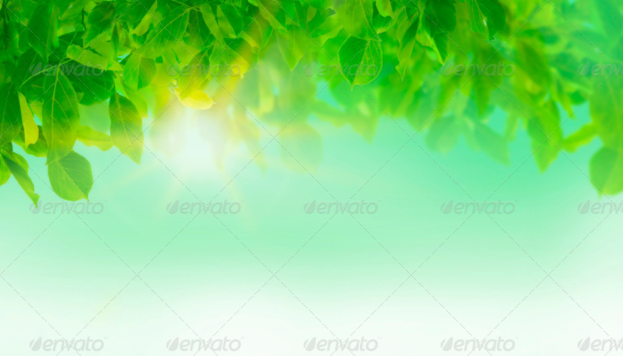 Summer Backgrounds, Graphics | GraphicRiver