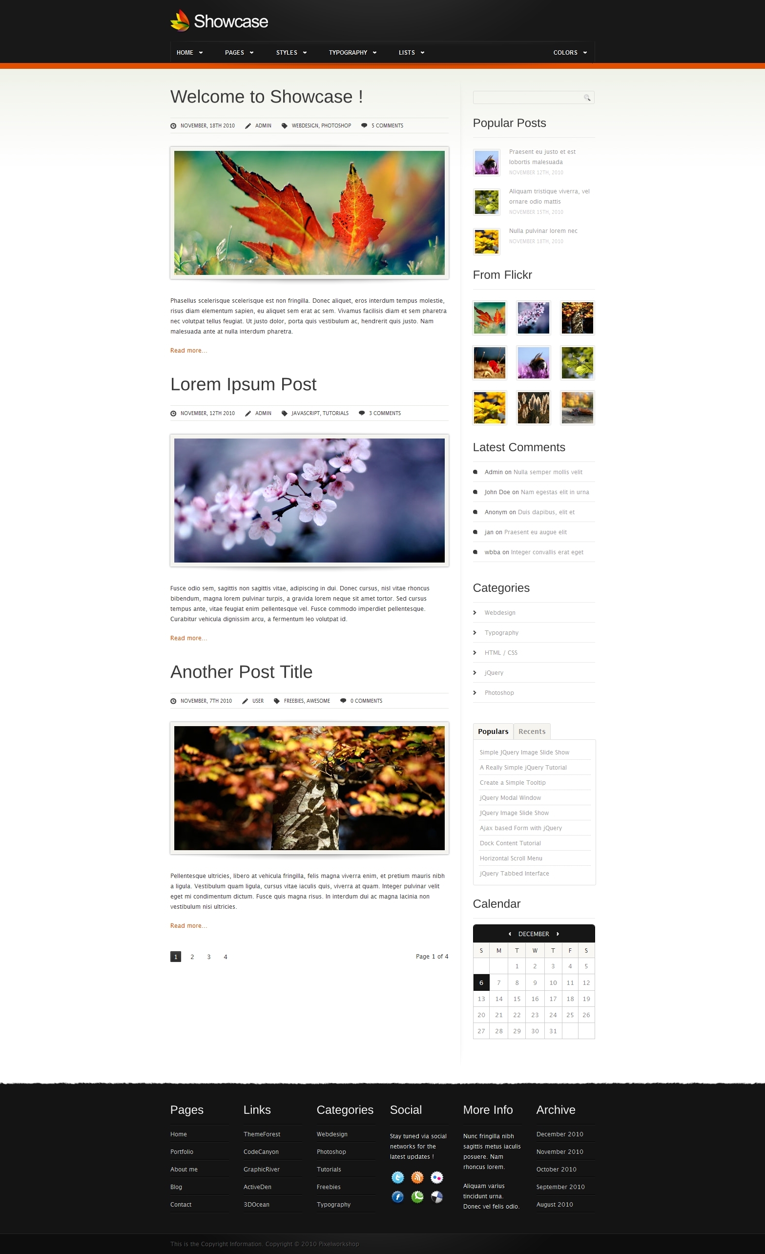 Showcase - Professional Portfolio Template by Pixelworkshop | ThemeForest