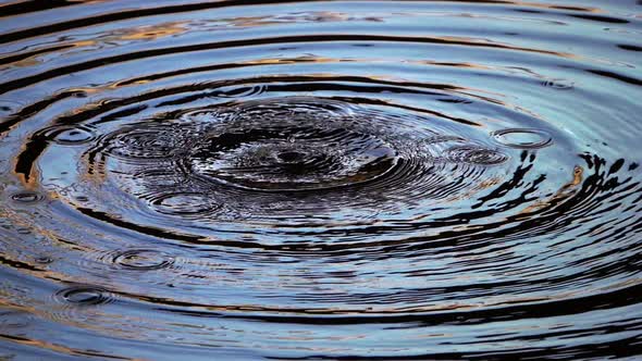 Water Drops And Waves On Lake Water , Stock Footage | VideoHive