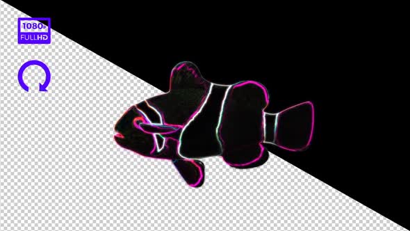 Neon Clownfish Loop, Motion Graphics | VideoHive
