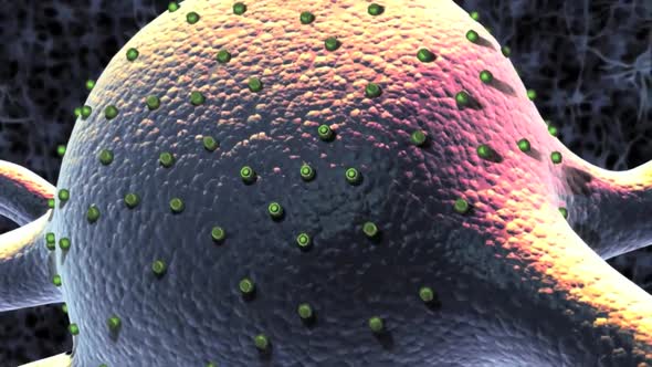 Neuron and synapses, Motion Graphics | VideoHive