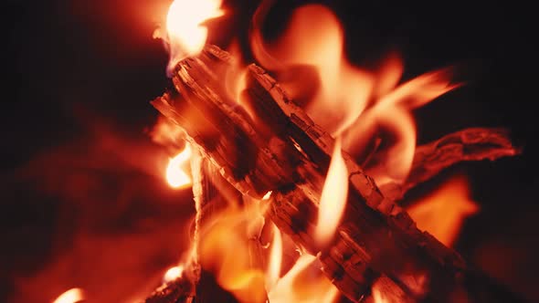 Smoldering Tree in Beautiful Bonfire, Stock Footage | VideoHive