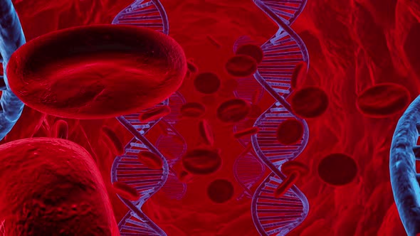 Dna And Blood Cell 03 Hd , Motion Graphics | VideoHive