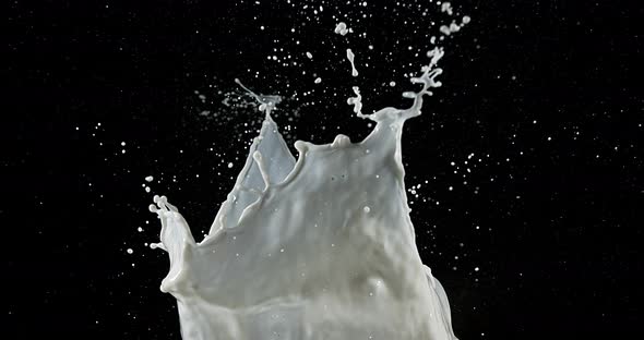 Exploding Milk against Black Background, slow motion 4K, Stock Footage