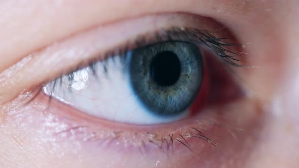 Blinking Blue Eye Filmed in a Close Up, Stock Footage | VideoHive