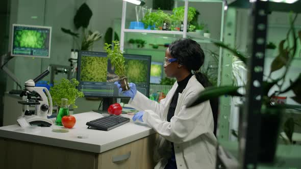 Scientist Woman Analyzing Sapling While Typing Pharmaceutical Expertise ...