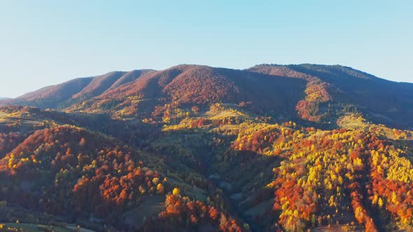 High Mountains with Terracota Trees at Bright Sunrise, Stock Footage