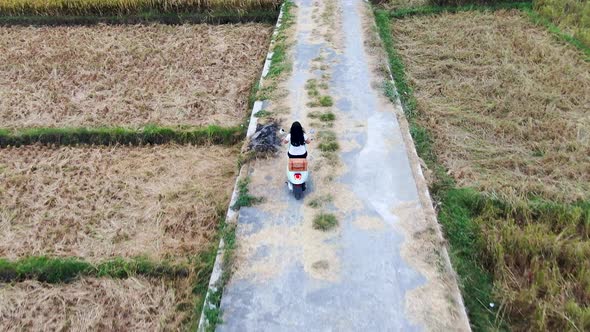 Woman ride motorbike on bumpy country road near rice fields, aerial ...