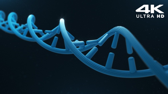 DNA Background , Motion Graphics | VideoHive