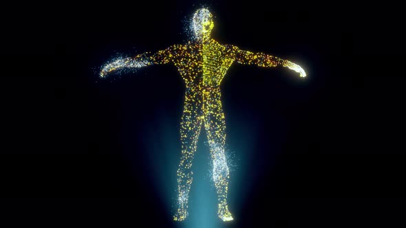 Creative Abstract Human Body Scanning 4k, Motion Graphics | VideoHive